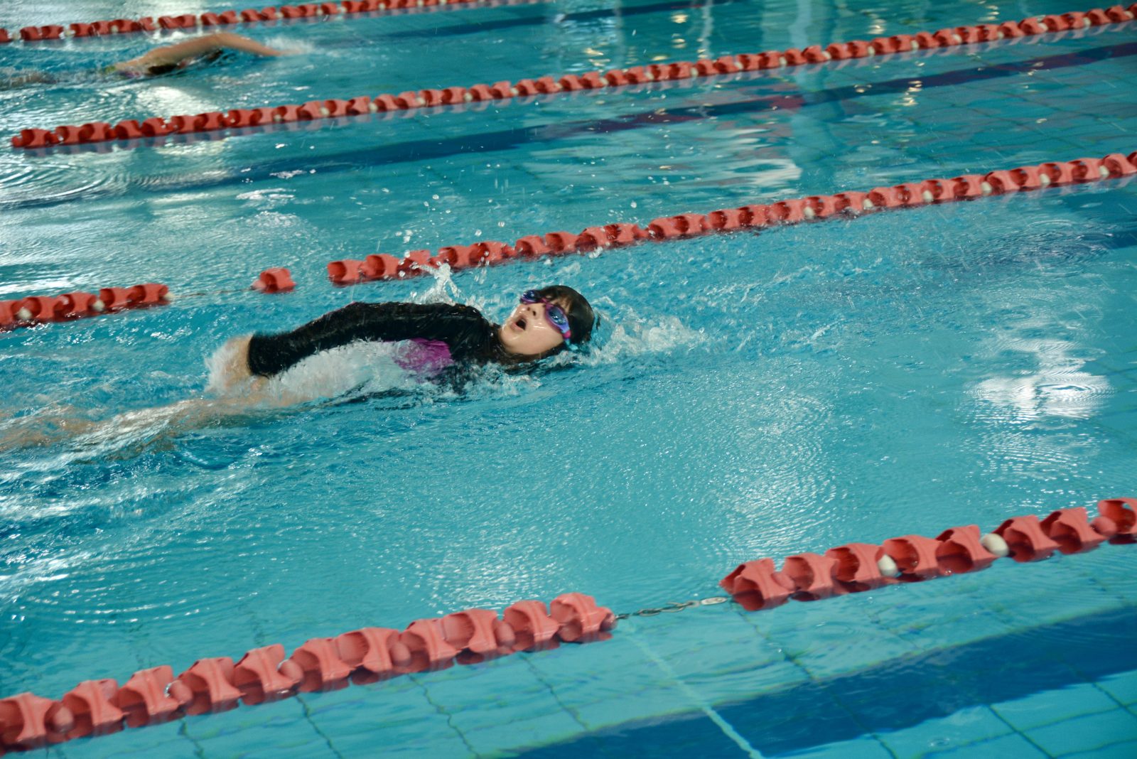 Primary School dive in | International Grammar School Sydney