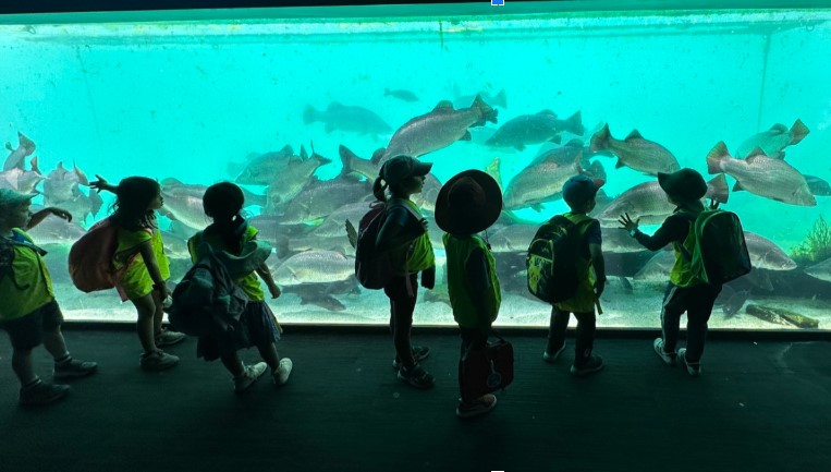 Summer Vacation Care highlights | International Grammar School Sydney