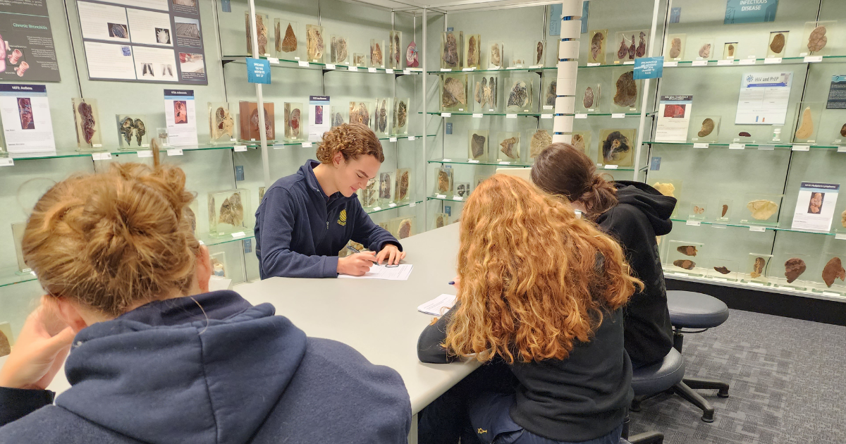 Year 12 Biology explore the Museum of Disease | International Grammar ...