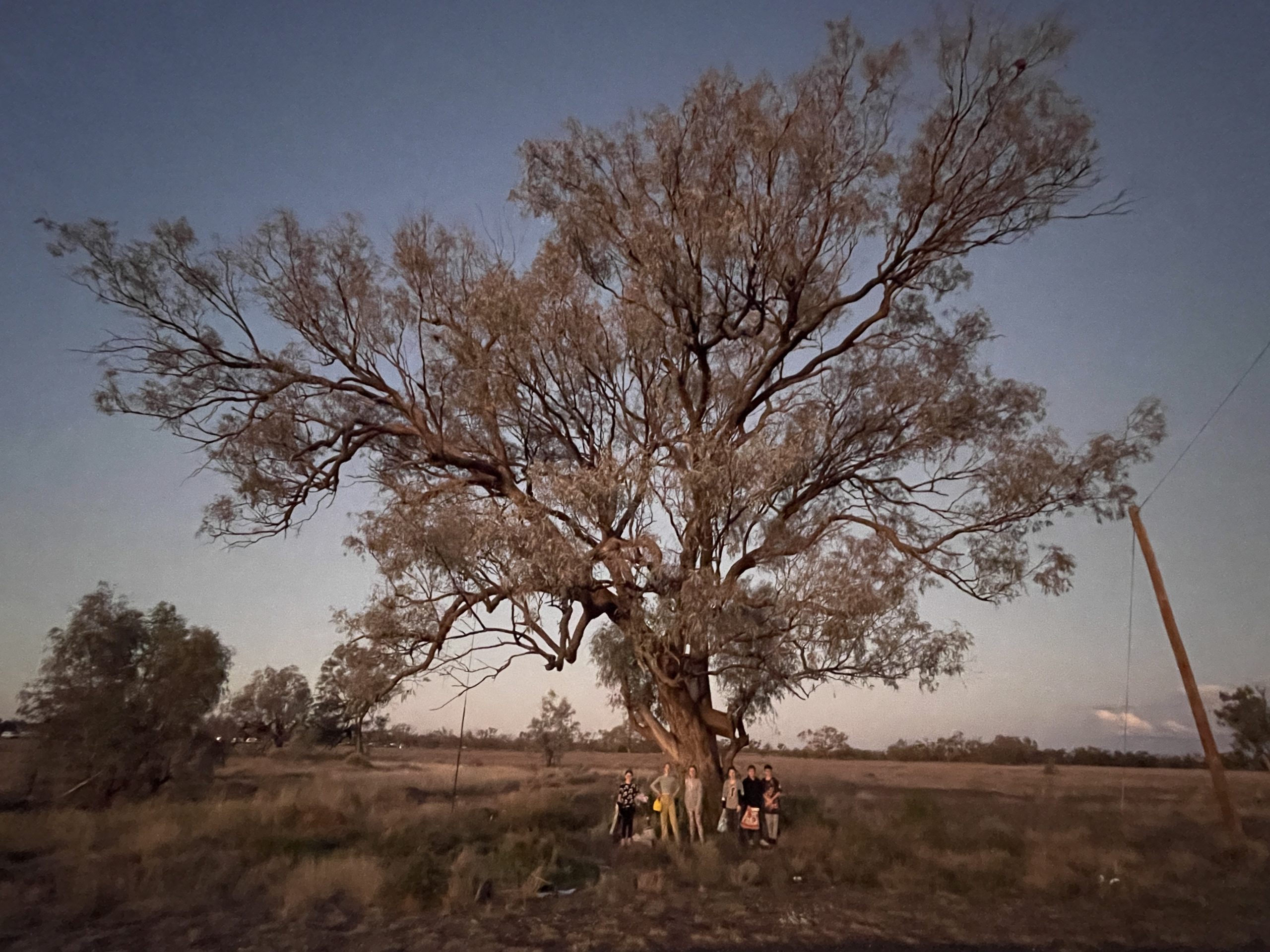IGS students visit Goodooga | International Grammar School Sydney