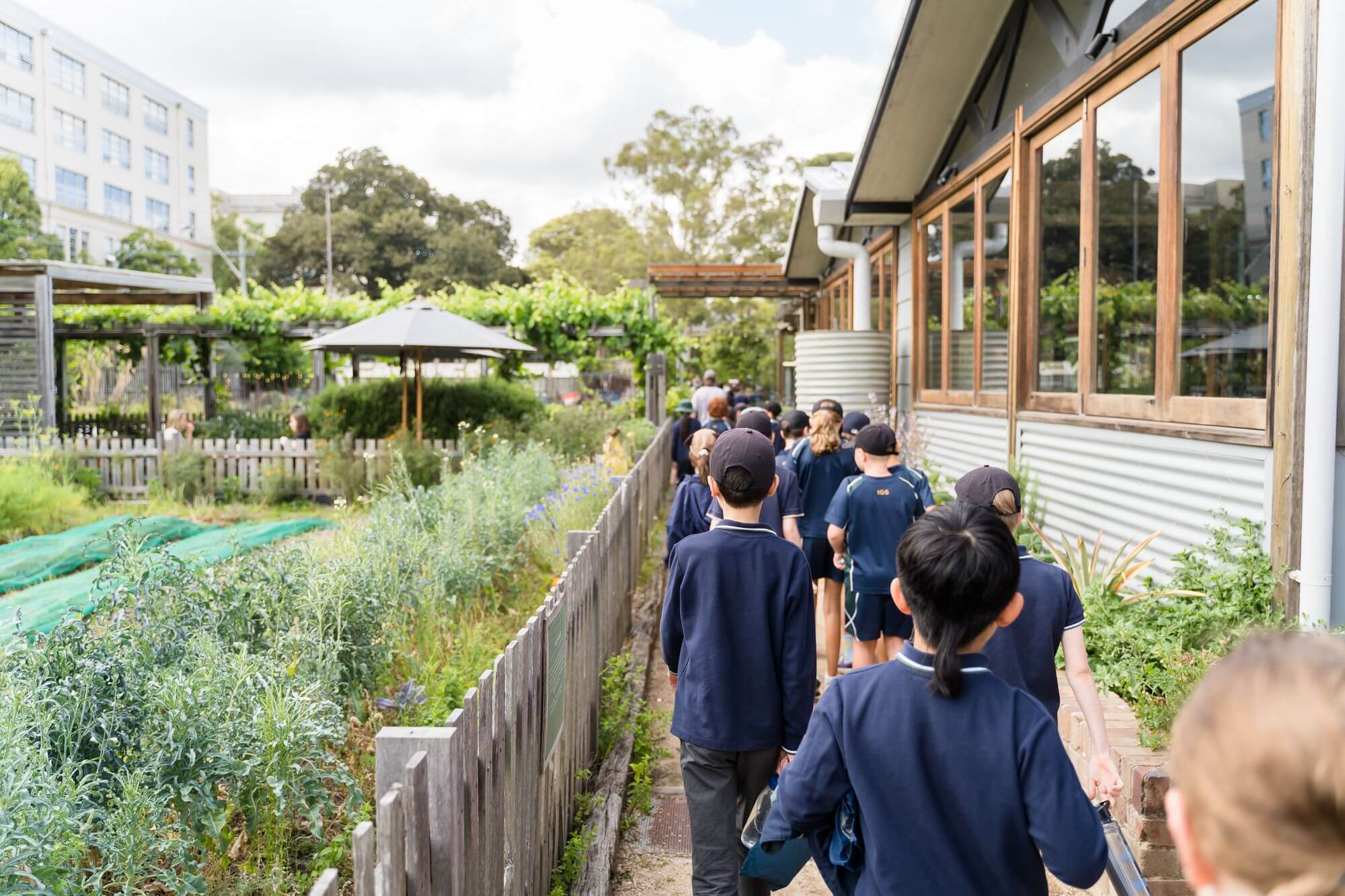 Sustainable Learning Adventure at Pocket City Farms
